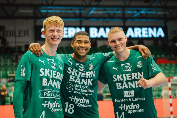 Skjern - BSH i tal